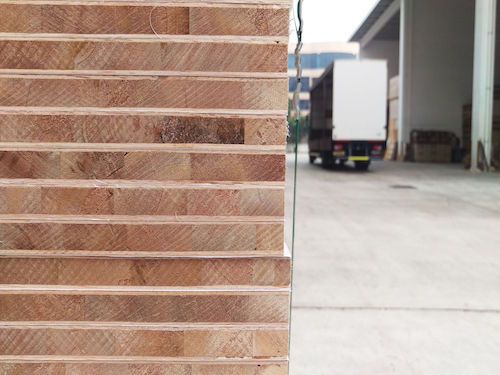 Plywood and panel products | SwG